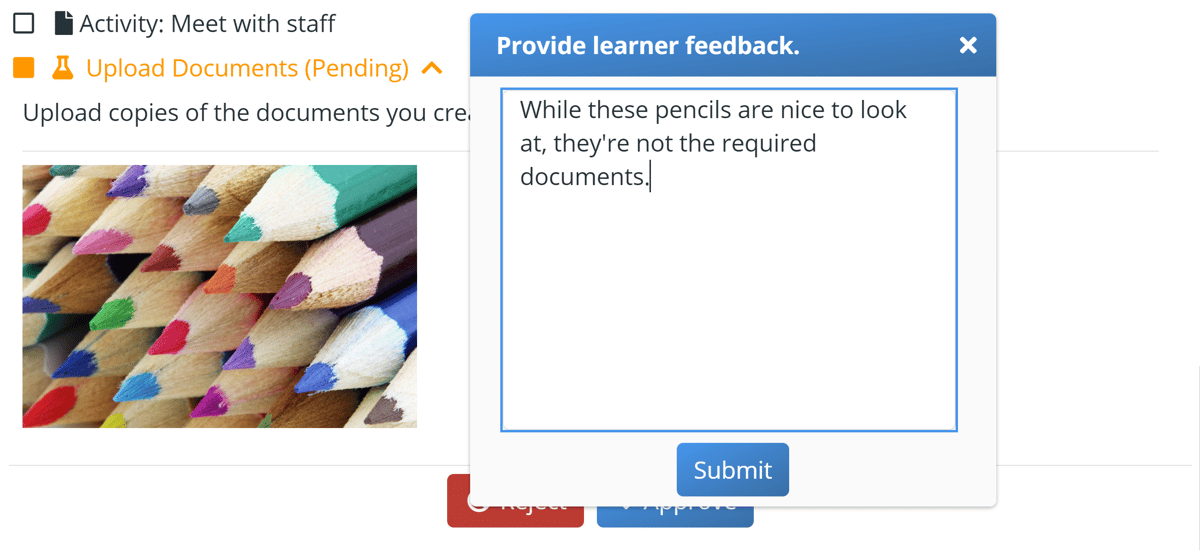 How do I provide feedback for a submitted activity?